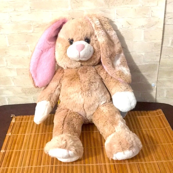 Build-A-Bear | Toys | Build A Bear Long Floppy Ear Brown Eye Bunny ...